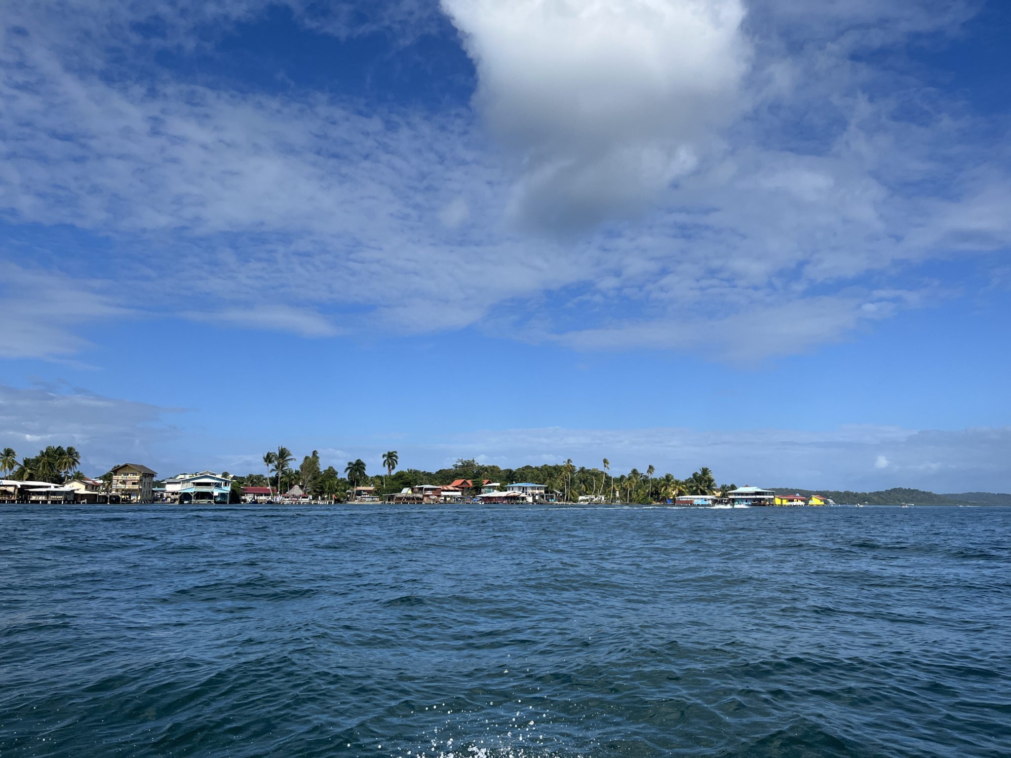 Blog 6: Bocas del Toro and More! – Adventures with Clay in Costa Rica