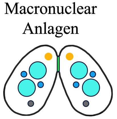 Marconuclear Anlagen – Eric S. Cole