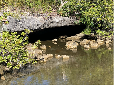 Ledge Pond – Eric S. Cole