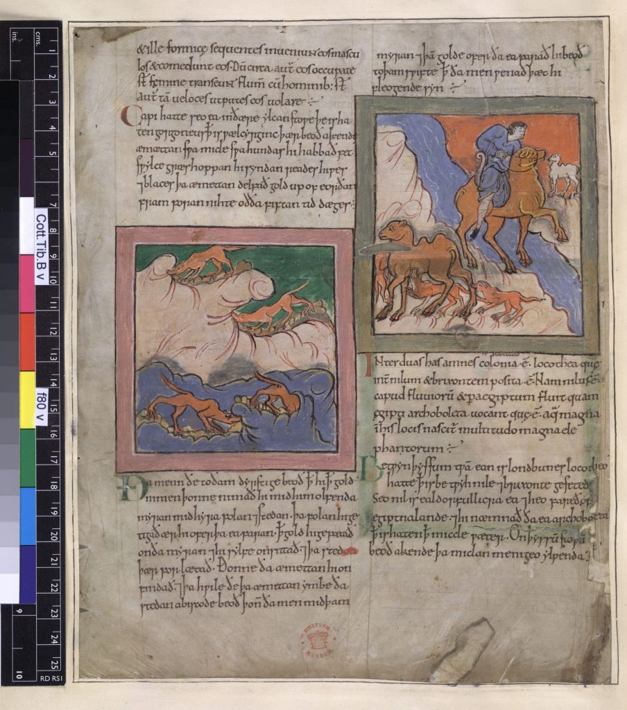 The Skin We Stand On: Landscape-Skinscape in the Tiberius B.v Marvels ...