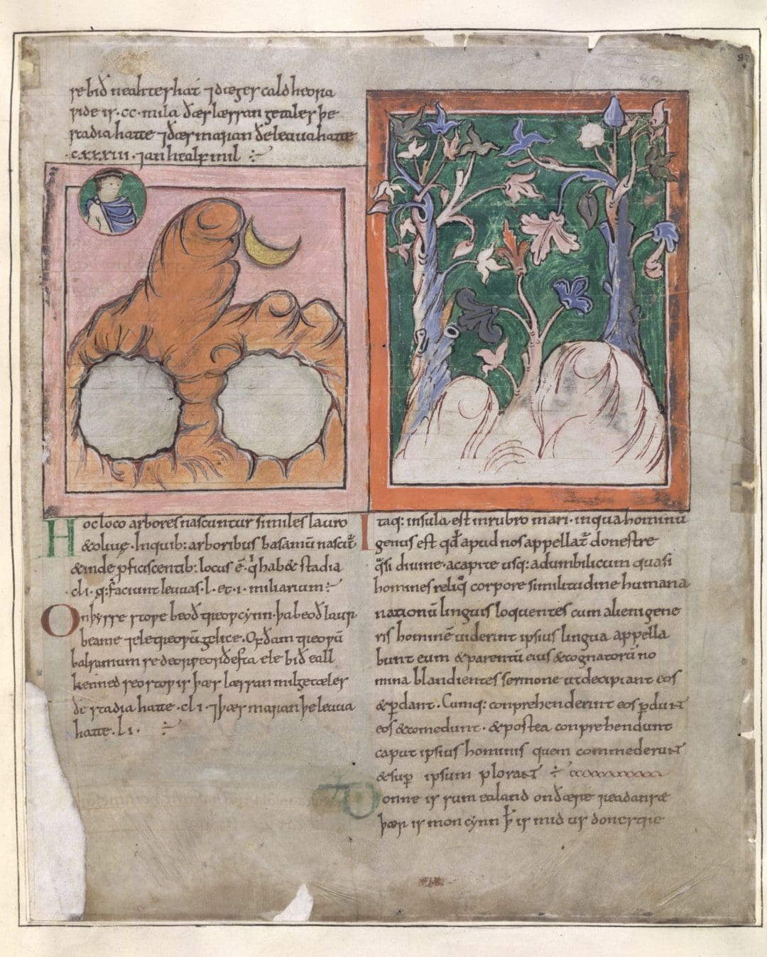 The Skin We Stand On: Landscape-Skinscape in the Tiberius B.v Marvels ...