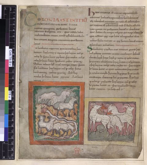 The Skin We Stand On: Landscape-Skinscape in the Tiberius B.v Marvels ...