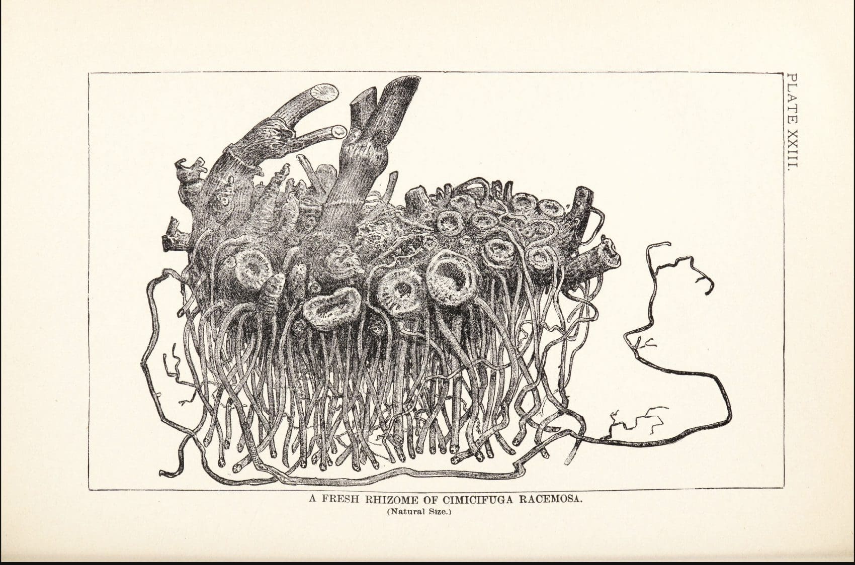 Material Collective Archive - Different Visions