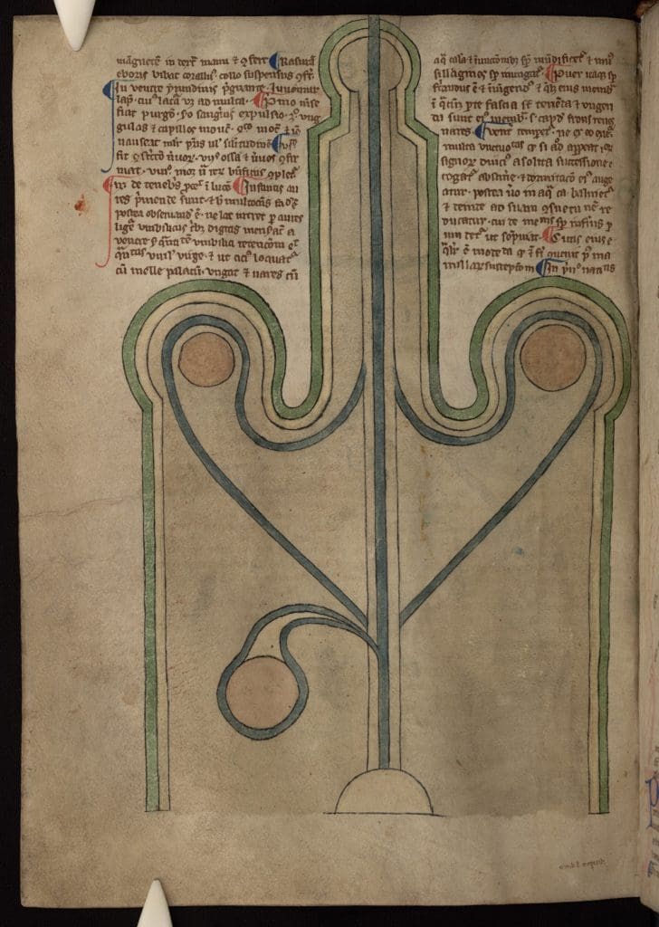 The Cruciform Womb: Process, Symbol and Salvation in Bodleian Library ...