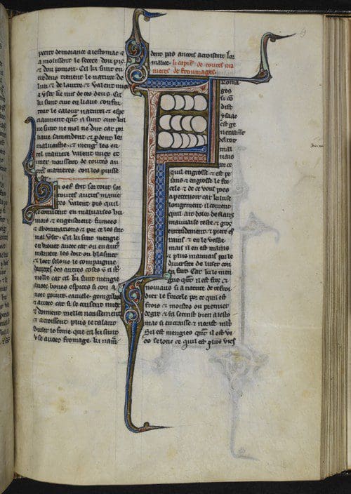 Feeling Cheesy - Different Visions