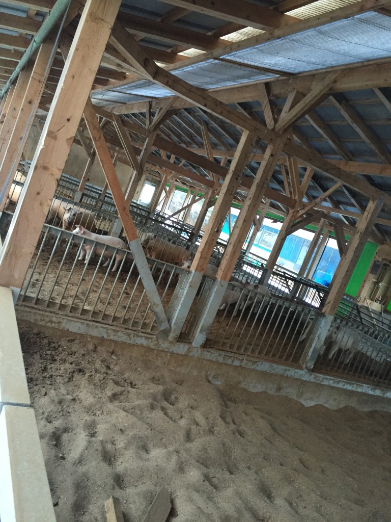 Fermentation for the Future of Farming | Environmental Sustainability ...