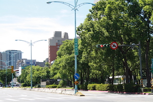 Nightshade Trees | Mapping Taipei