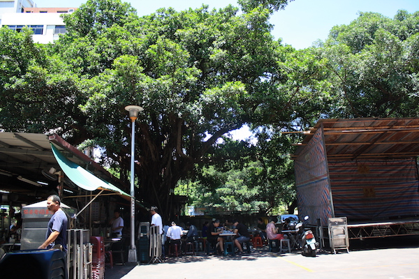 Banyan Trees | Mapping Taipei
