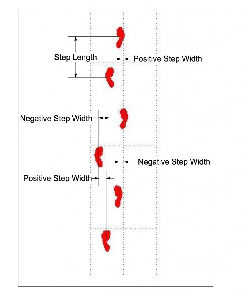 Healthy Aging Initiative | The Ultimate Preventative Medicine